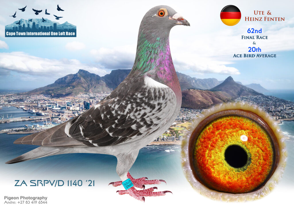 Lot 62 - ZA SRPV-D 1140 2021 (H) 62nd Final CTIOLR & 20th Ace Bird ...