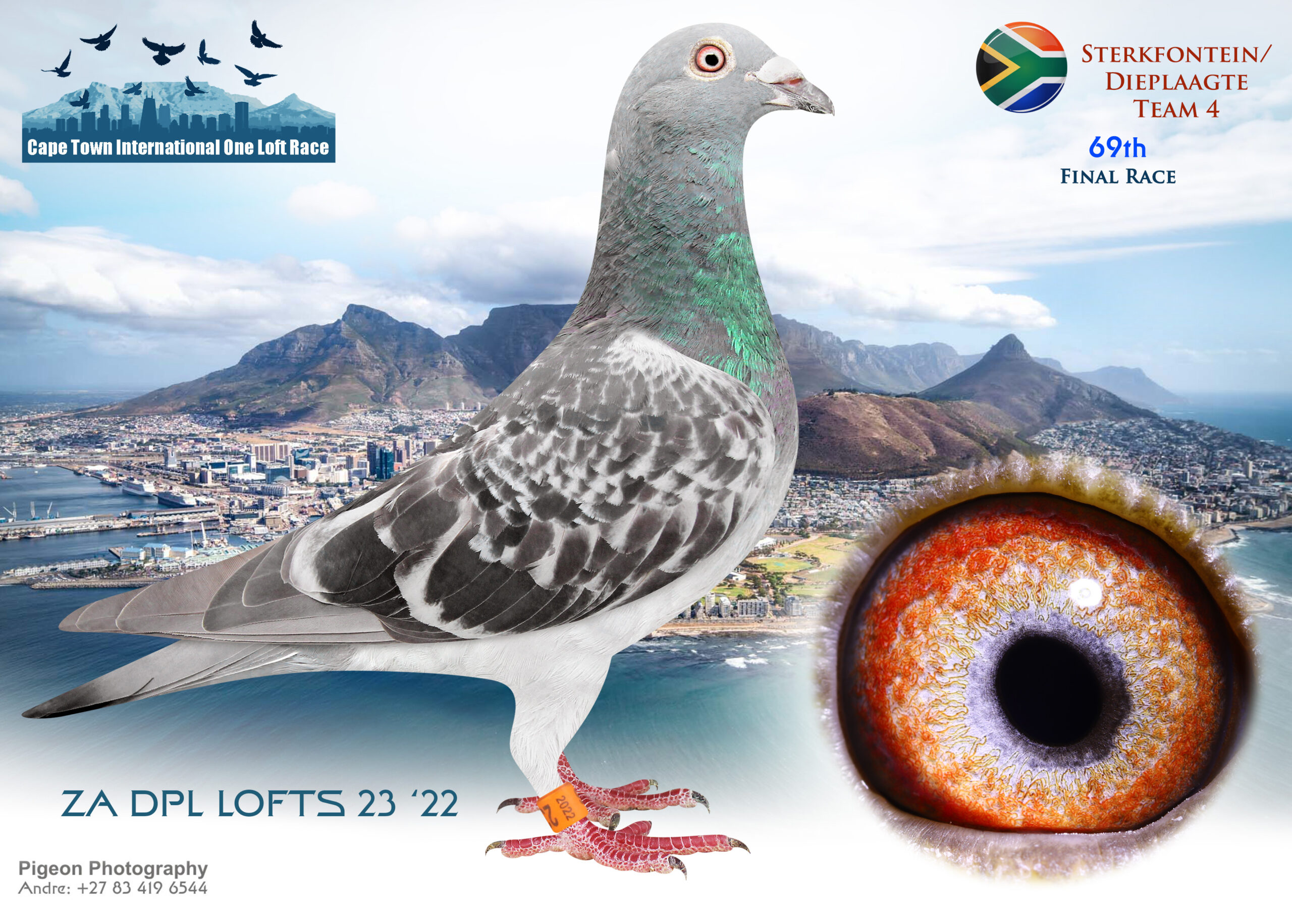 LOT 19: ZA 22 DPL LOFTS 23 (C) Bred by: Dieplaagte Sterkfontein - Laureaat Dijkstra - 69th Final ...