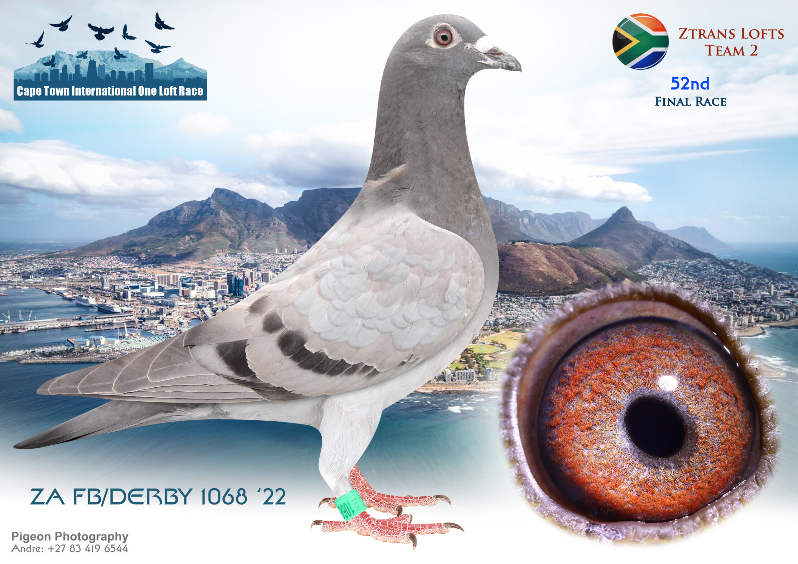 LOT 2: ZA 22 FB/DERBY 1068 (H) - Bred by: ZTRANS - 52nd Final - Figo ...