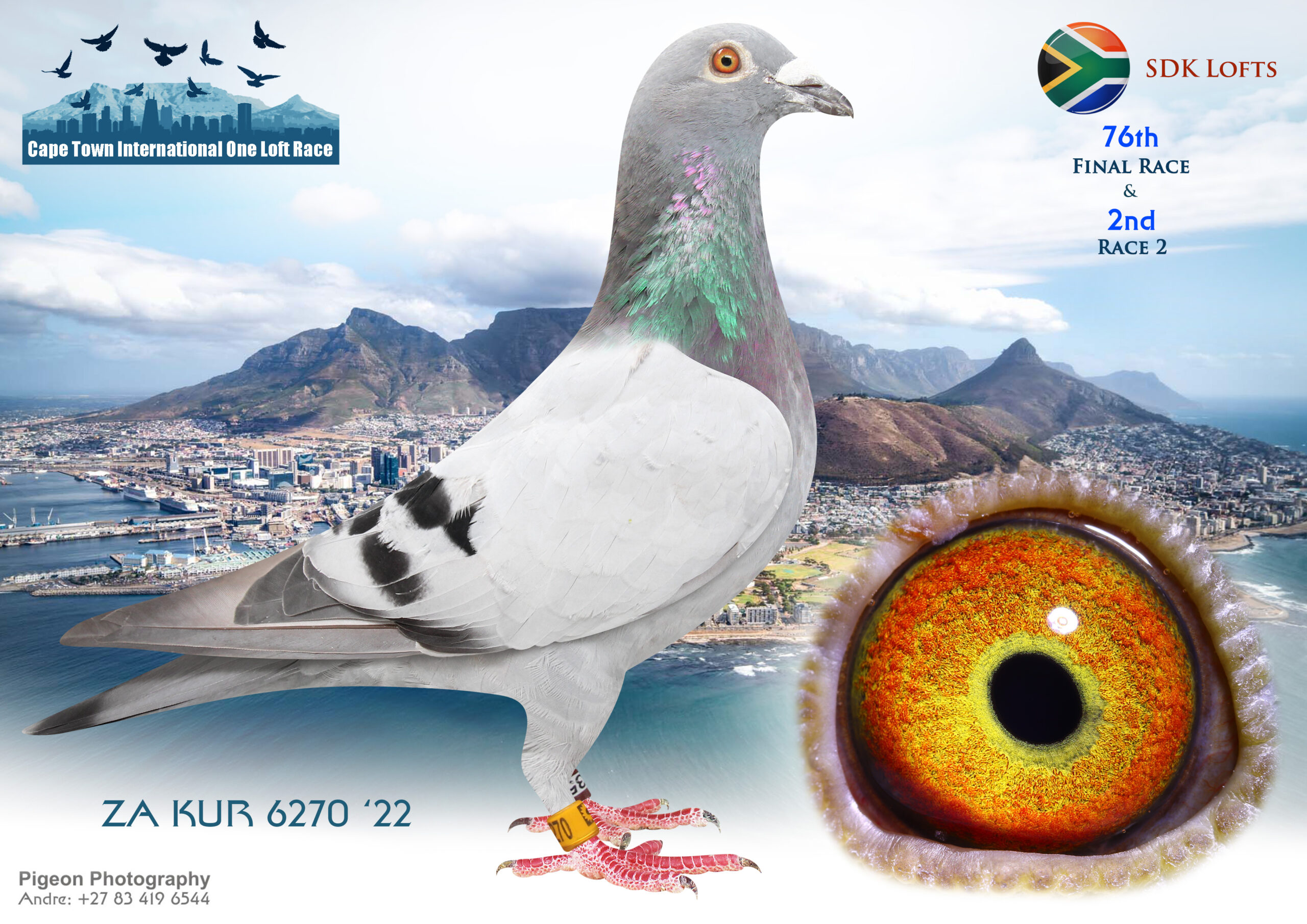 LOT 26: ZA 22 KUR 6270 (C) - Bred by: SDK Lofts - 76th Final 2nd Race2 ...