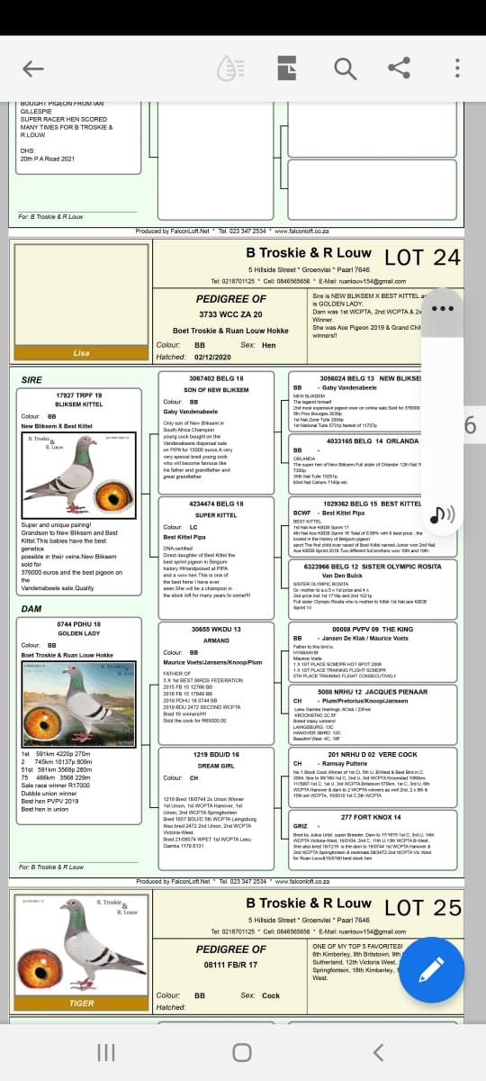 LOT 5: ZA 22 OPDP 1934 (C) - Entered by: Riaan Strydom - 5th Final Race ...