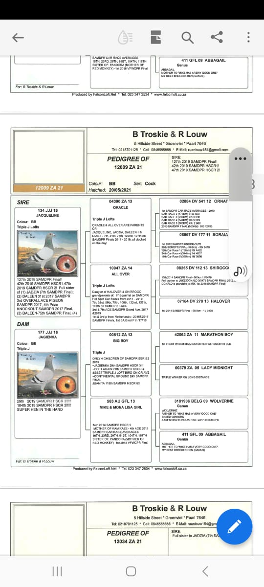 LOT 5: ZA 22 OPDP 1934 (C) - Entered by: Riaan Strydom - 5th Final Race ...