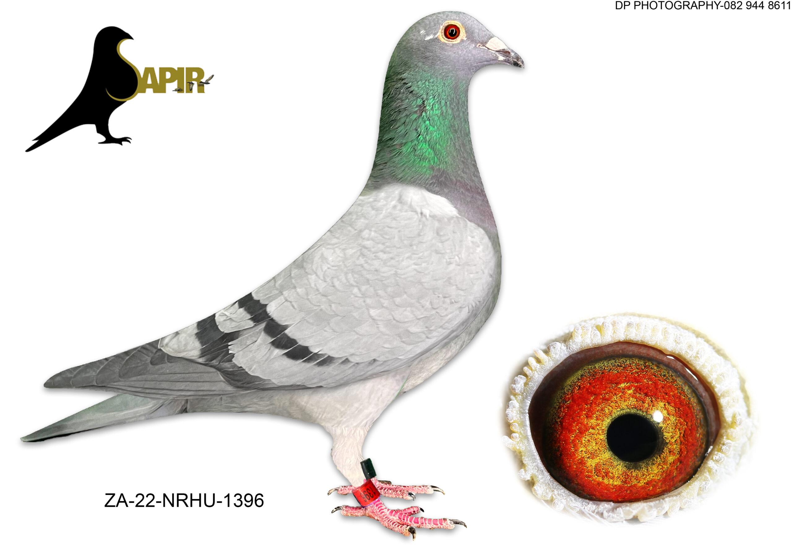 LOT 14: ZA-22-NRHU-1396 (H) - ENTERED BY: JOHNNY FORBES / JACQUES ...