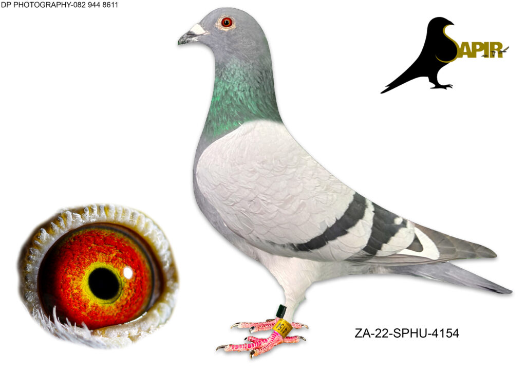 LOT 25: ZA-22-SPHU-4154 (C) - ENTERED BY: TRINITY LOFTS - STUDY THE ...