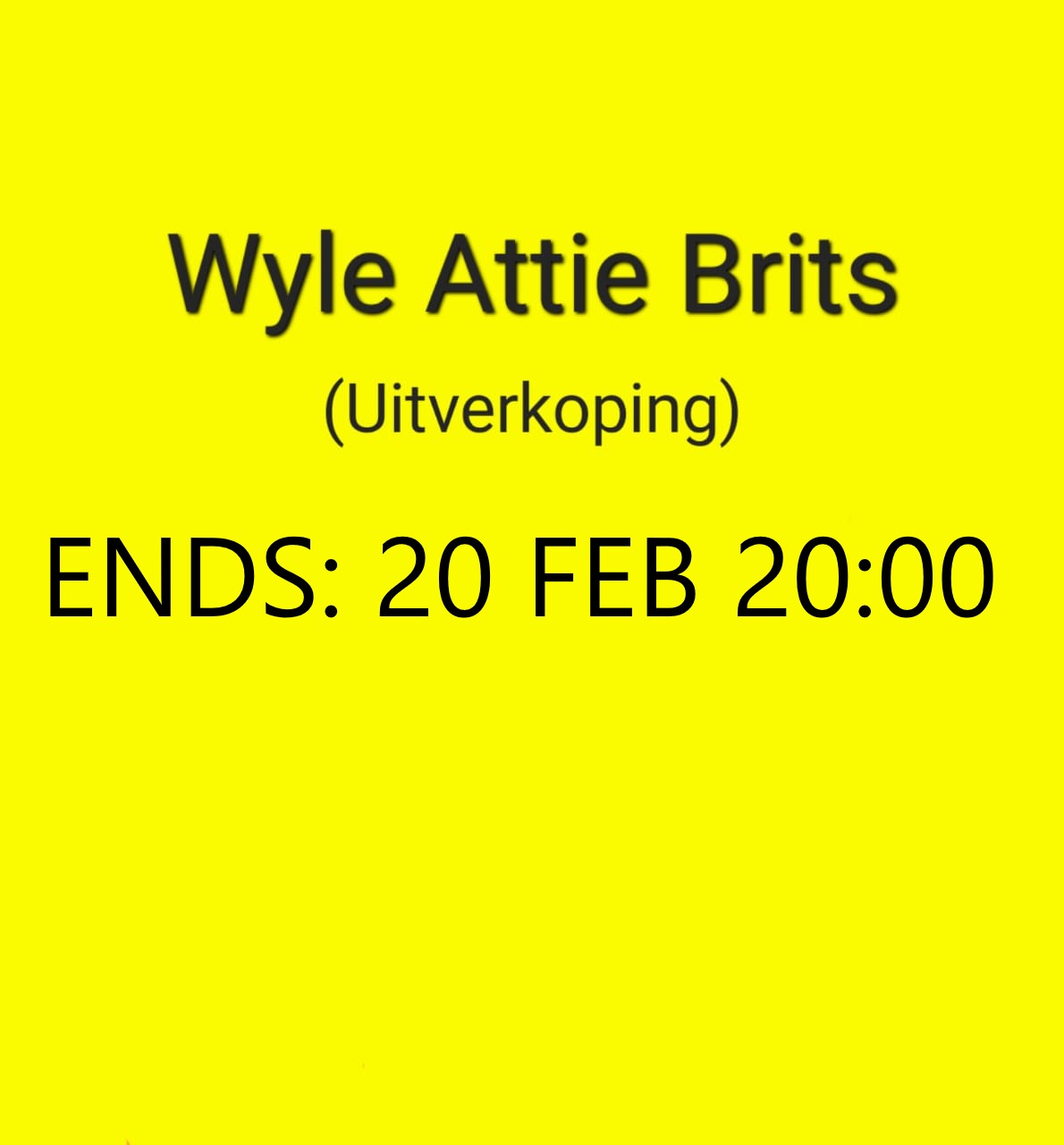 Attie Brits - Auction 4. Archives - Best Pigeon