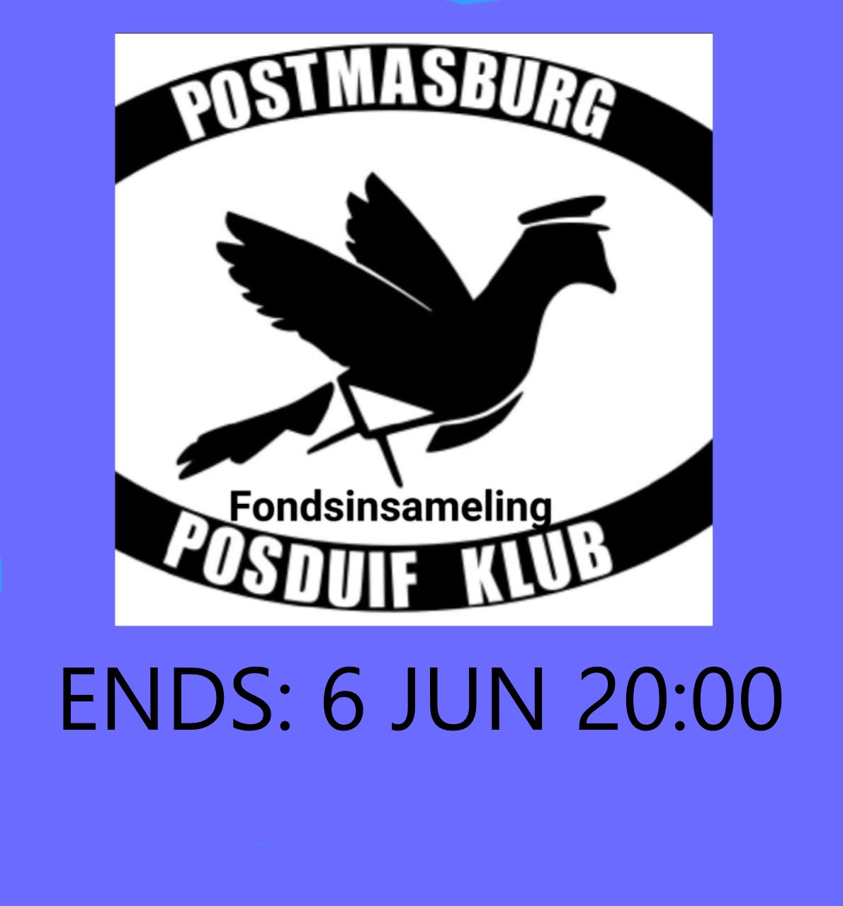 Postmasburg Posduif Club: Fondsinsameling Archives - Best Pigeon