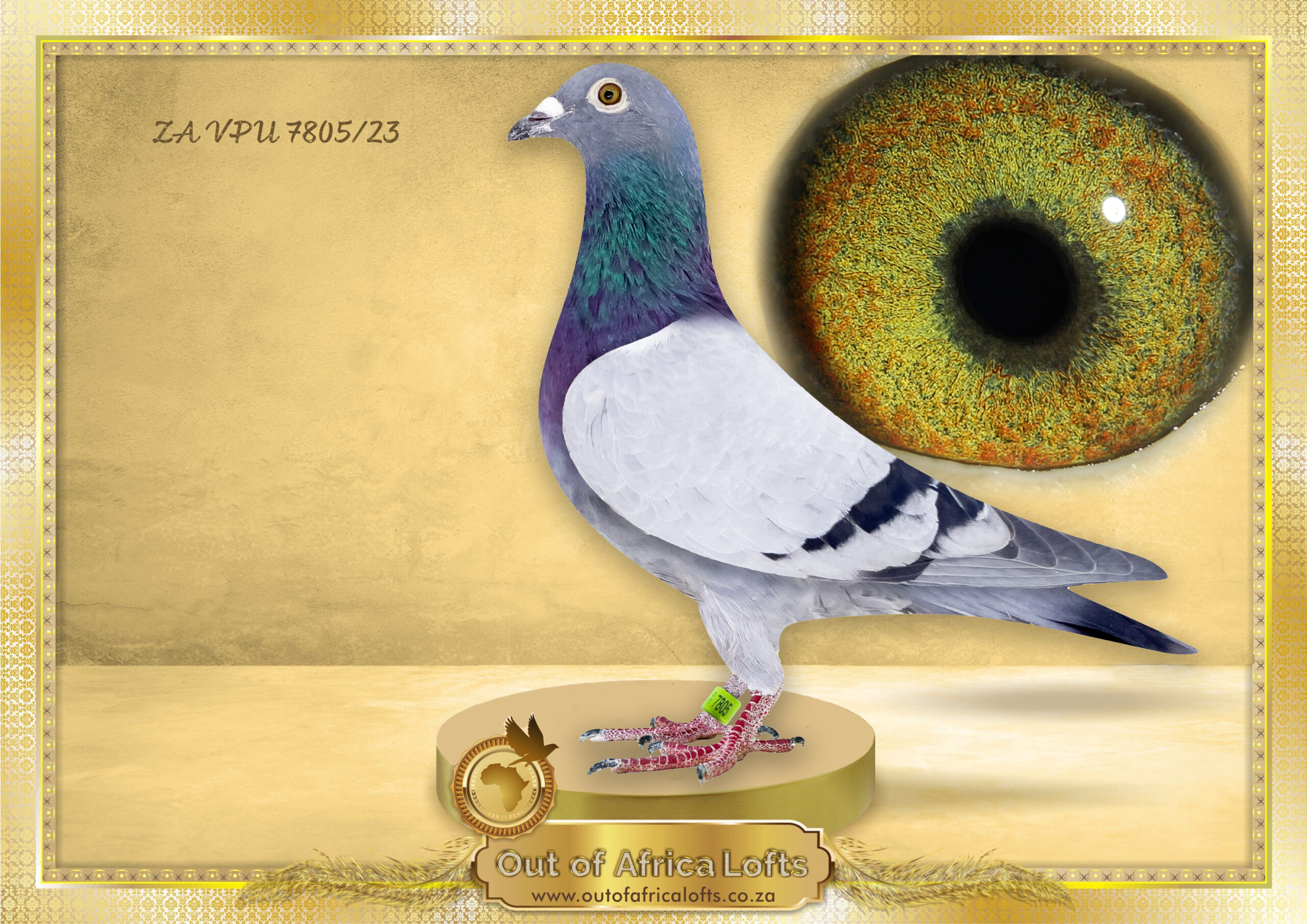 LOT 15: ZA VPU 7805/23 (H) - “ ALL THE LOCK LEGENDS “ - WOW! What a ...