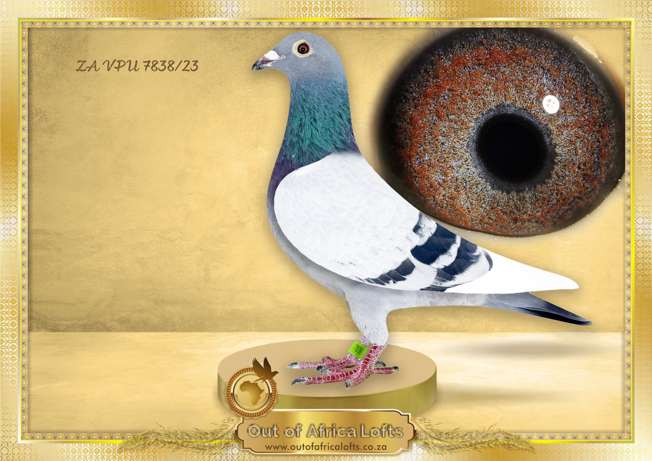 LOT 4: ZA VPU 7838/23 (H) “ NEXT LEVEL T LOCK “ - WOW - THIS IS A NEXT ...