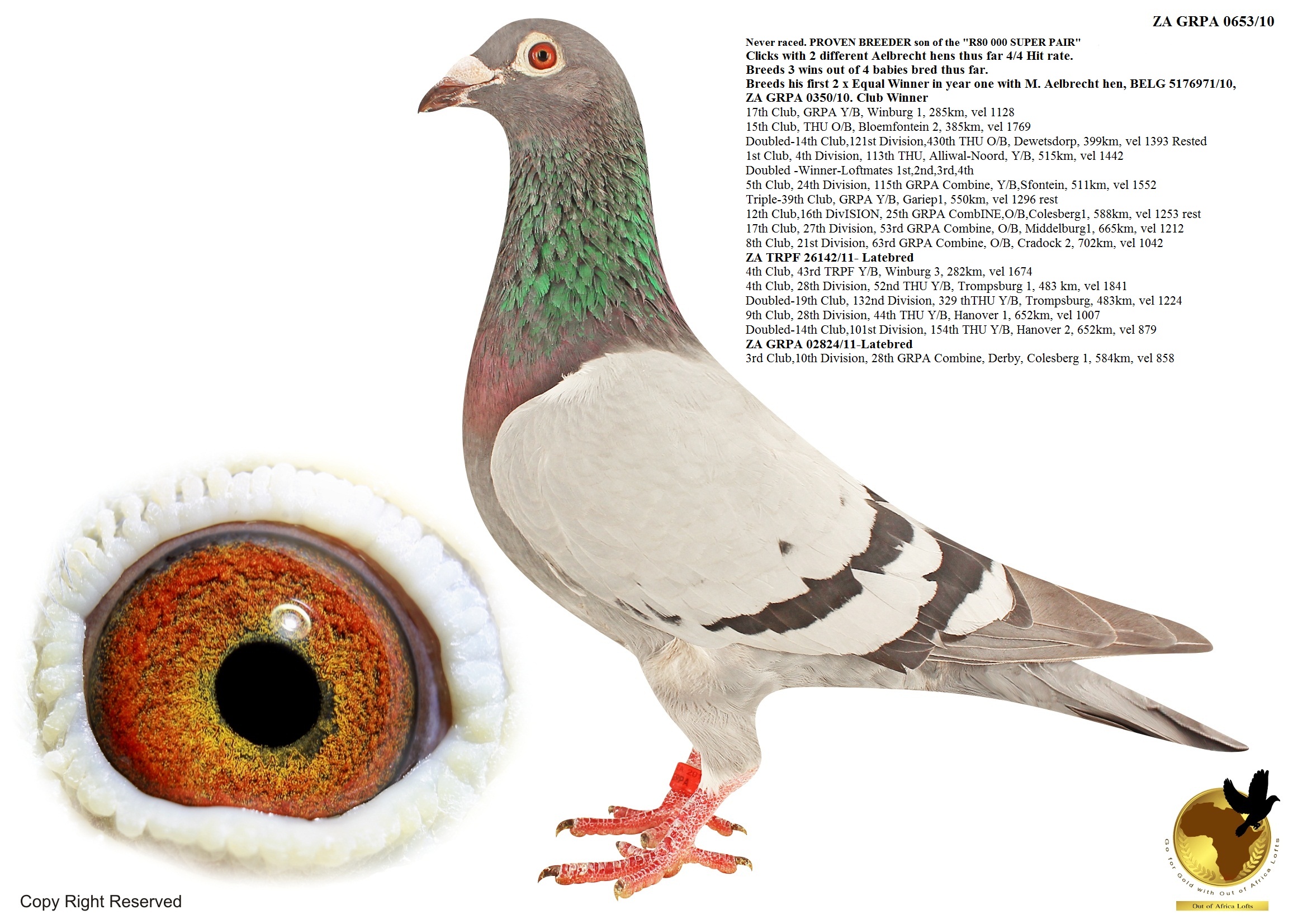 LOT 11: ZA VPU 8773/22 (C) “ DOUBLE KIELCOCK “ - This is A SUPER T LOCK ...