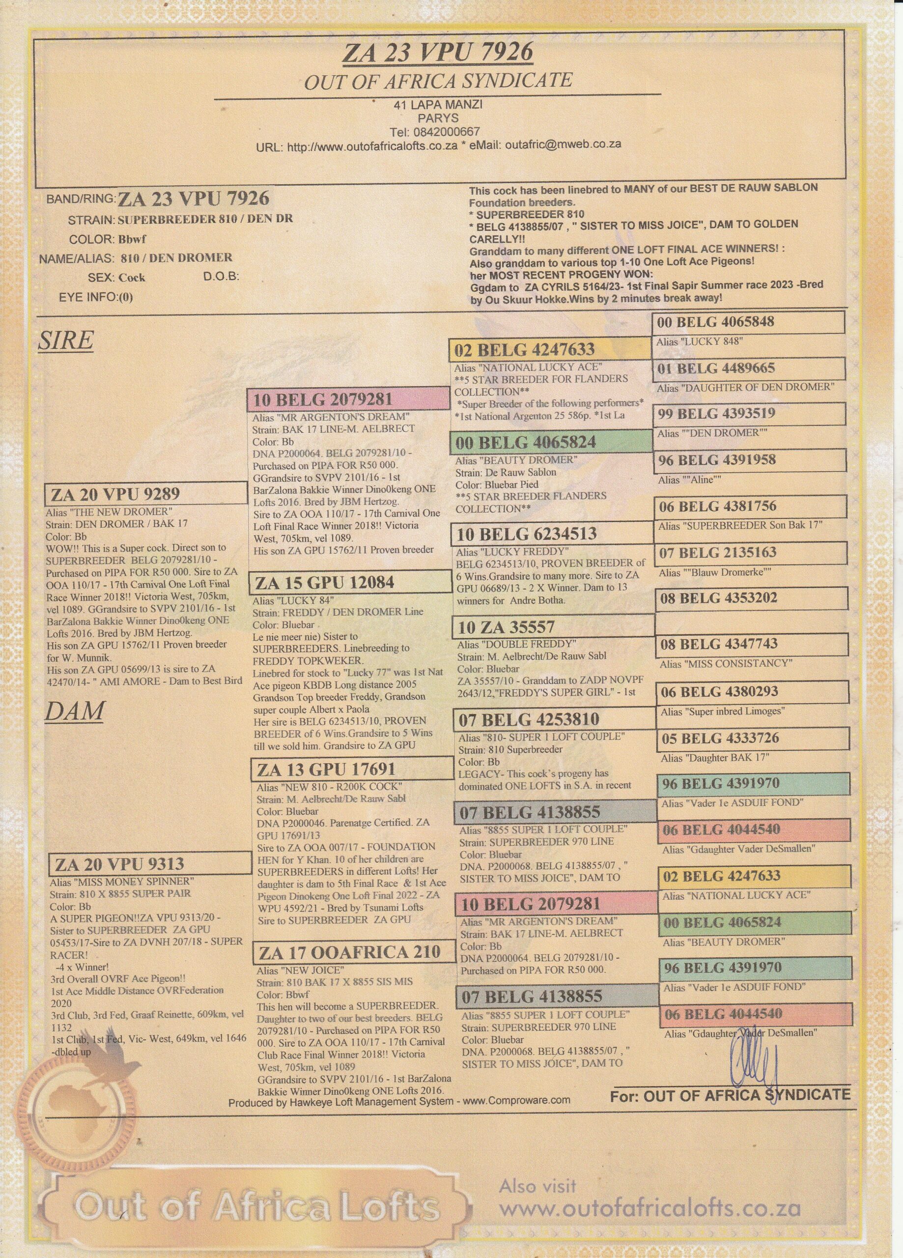 LOT 7: ZA VPU 7926/23 (C) - “ 810 / DEN DROMER X 8855“ - This cock has ...