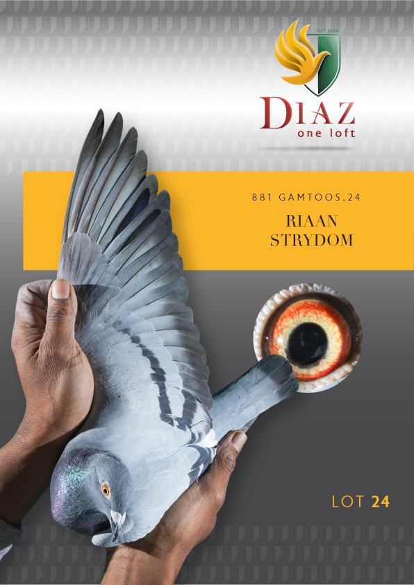 LOT 24: ZA 24 GAMTOOS 881 (H) - ENTERED BY: RIAAN STRYDOM - 18TH RACE 6 ...