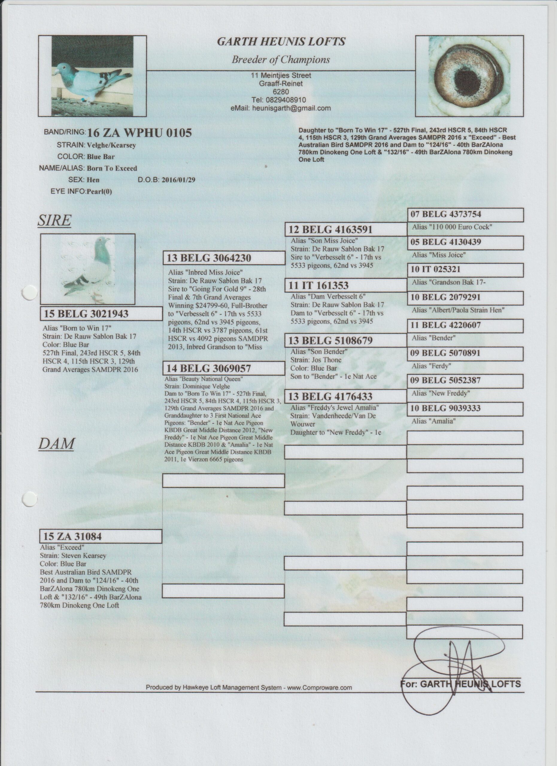 LOT 21: ZA 16 WPUH 0105 (H) - De Rauw Sablon/Steven Kearsey - Bred from the Best Bloodlines of ...