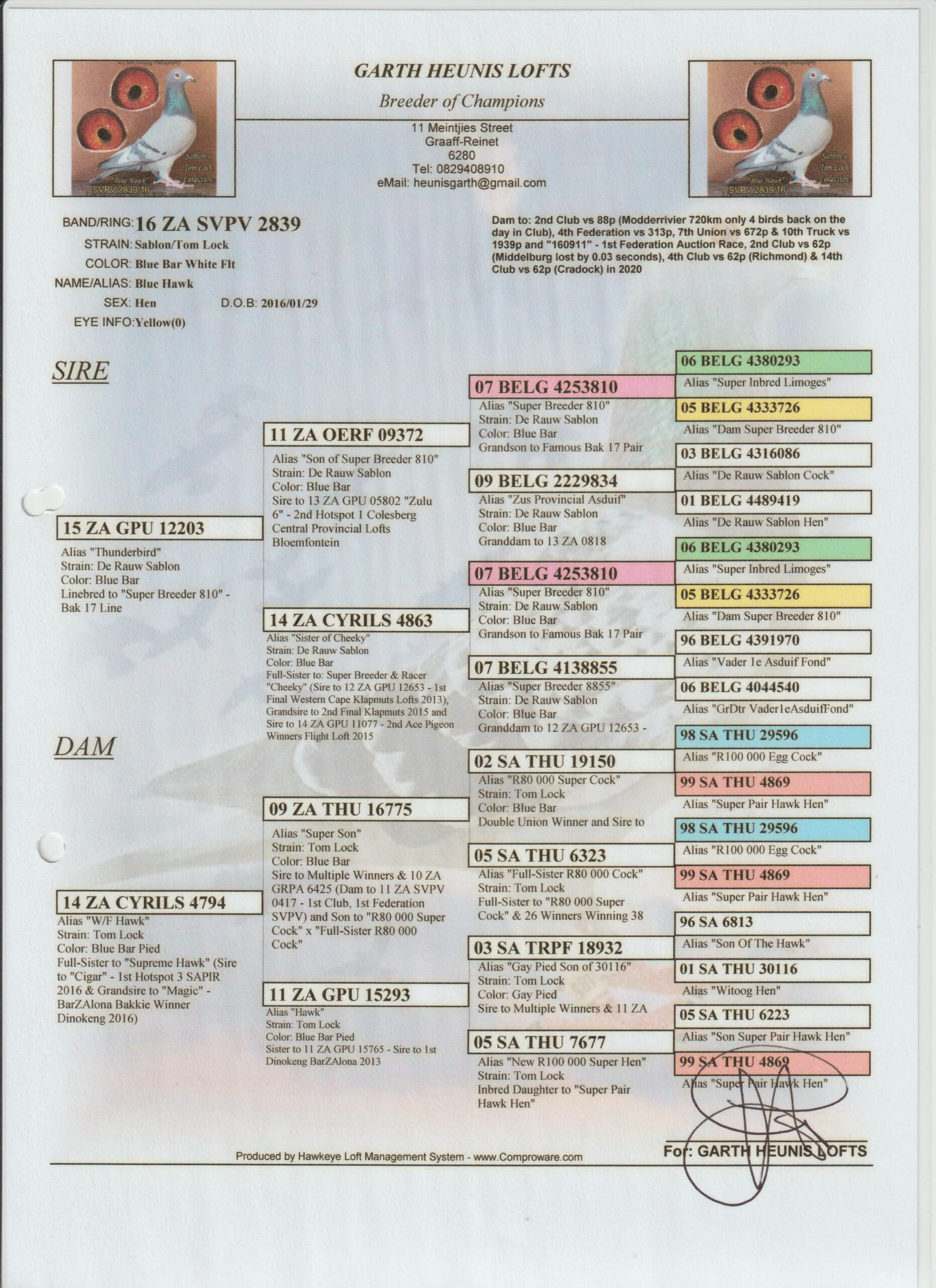 LOT 6: ZA 16 SVPV 2839 (H) - De Rauw Sablon/Tom Lock - Bred from the Best Bloodlines of De Rauw ...