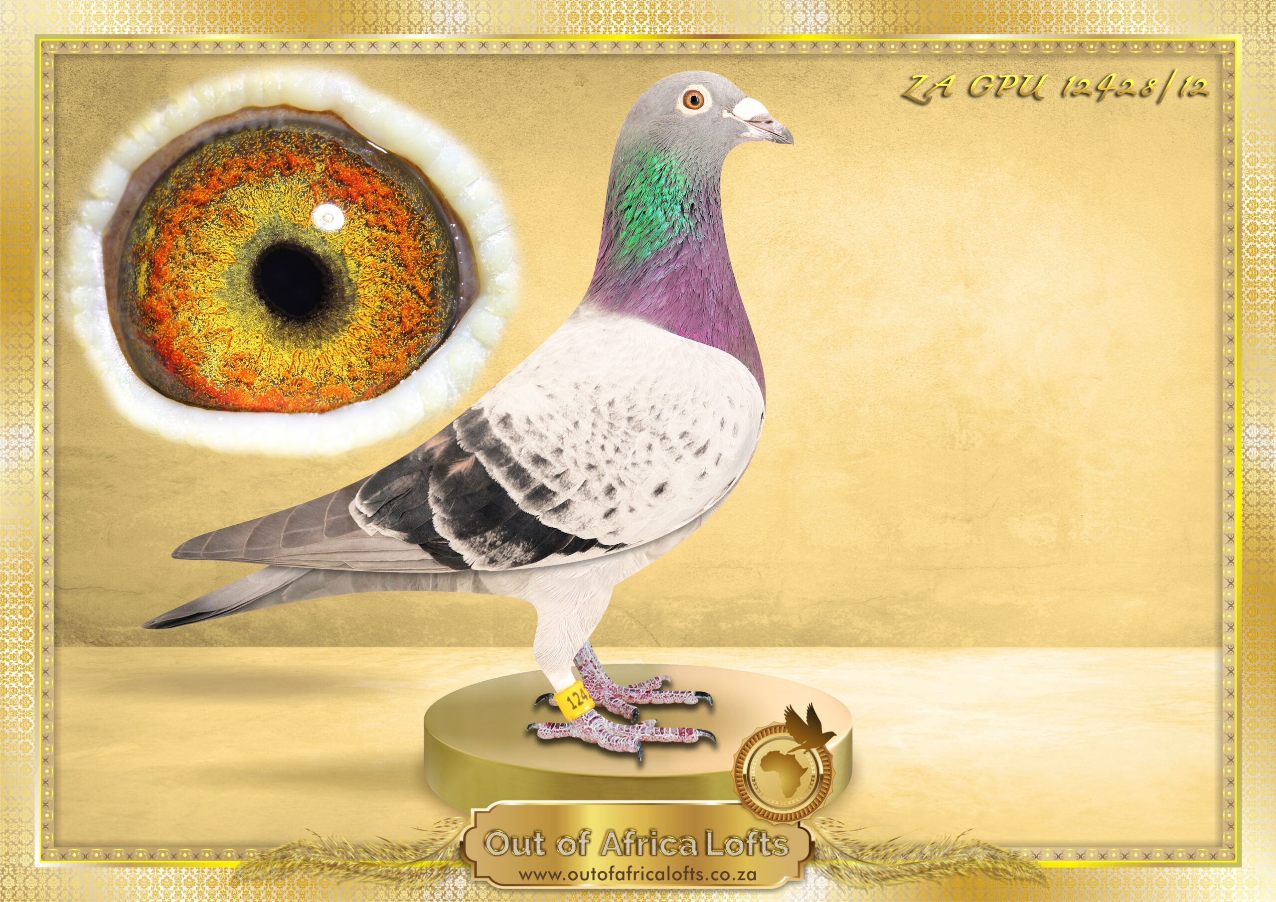 LOT 53: ZA VPU 7806/23 (H) - “ LINEBRED NR 1 COCK & HEN “ - a SUPER T ...