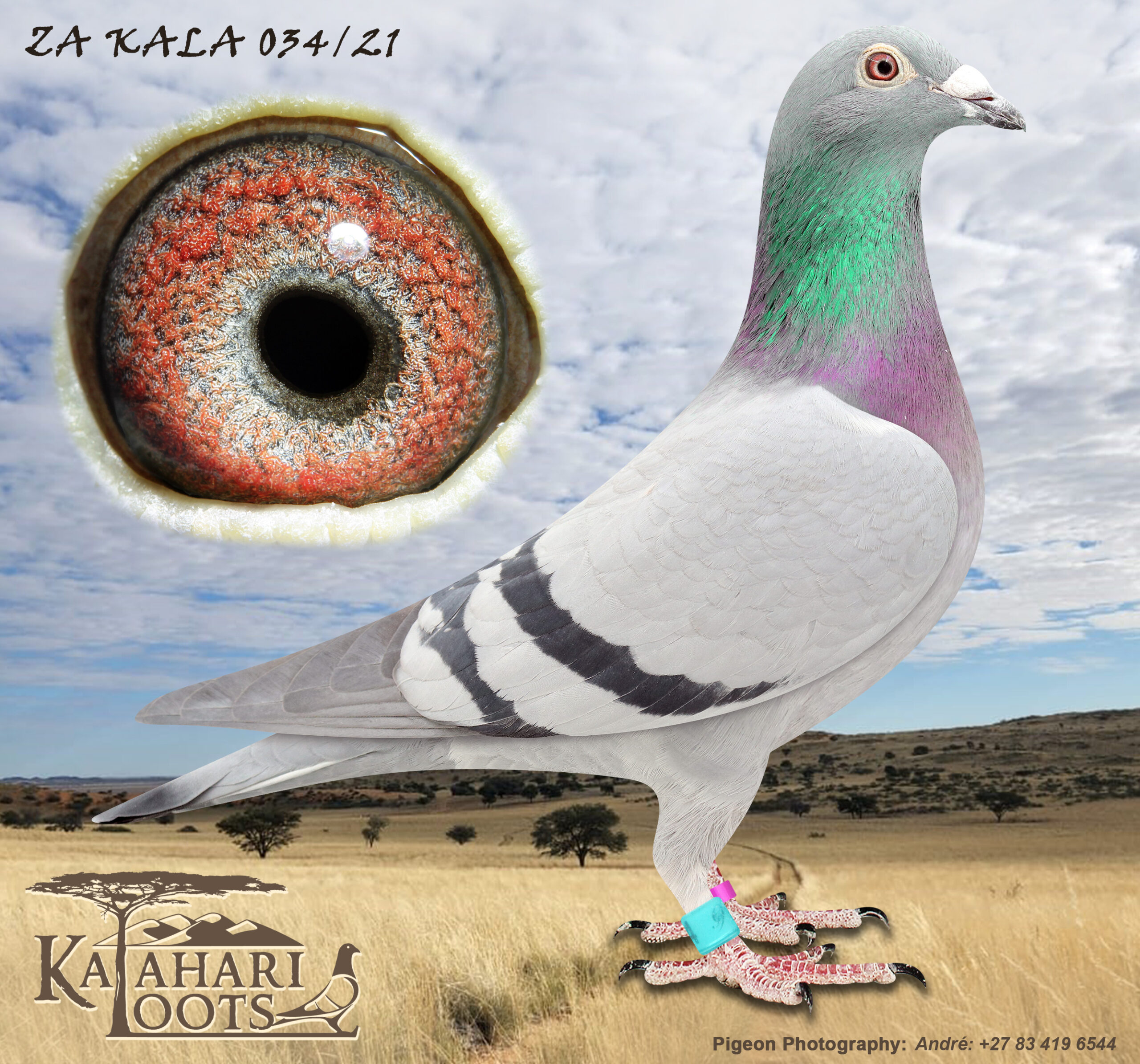 LOT 24: ZA 21 KALA 034 (H) - Gigi Gaddin Soetdoring Lofts & Hit- Rate ...