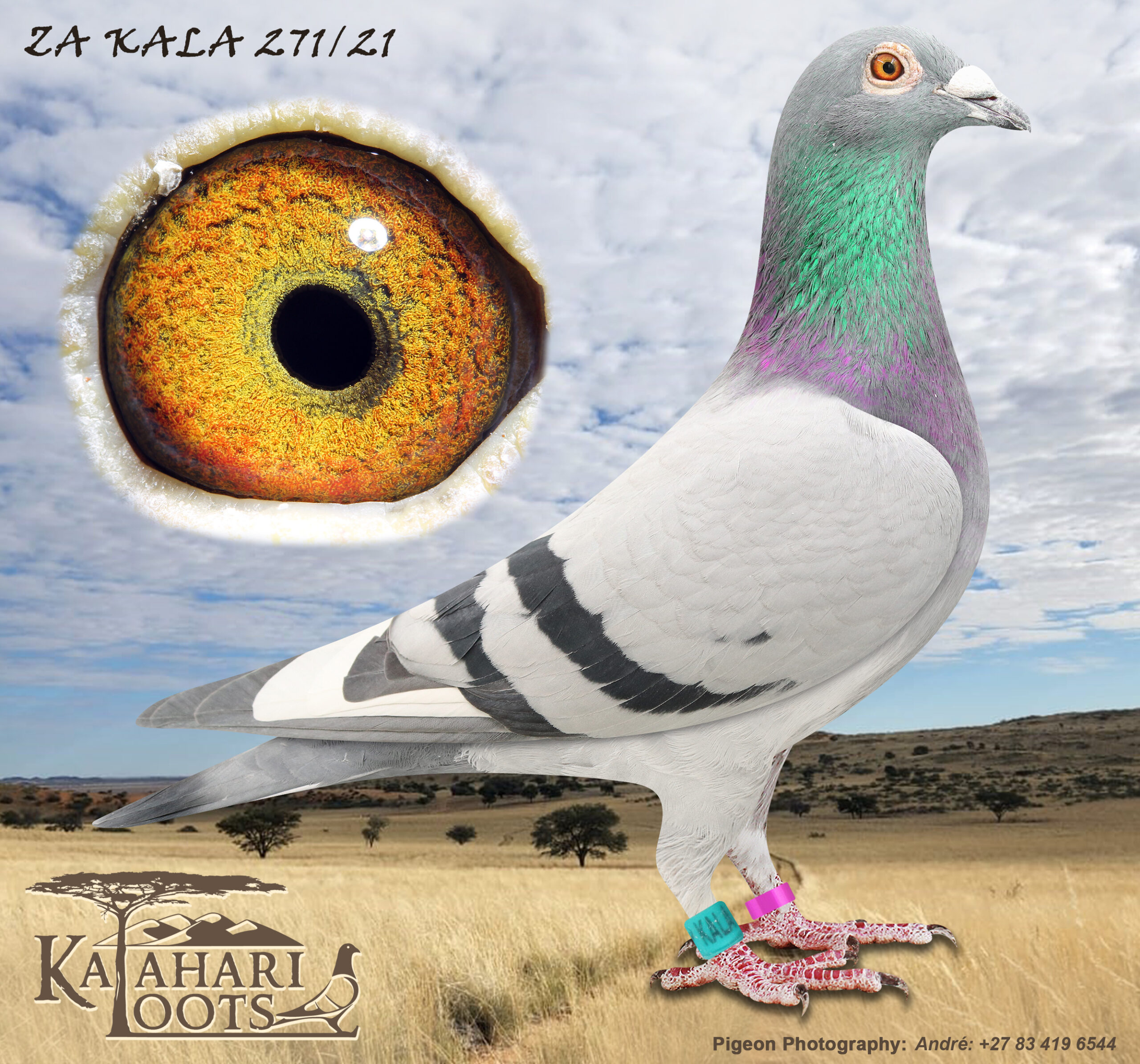 LOT 18: ZA 21 KALA 271 (C)- Gigi Gaddin Soetdoring Lofts & Hit- Rate ...