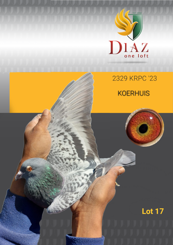 LOT 17: ZA 23 KRPC 2329 (C) - ENTERED BY: KOERHUIS - STUDY THE PEDIGREE ...