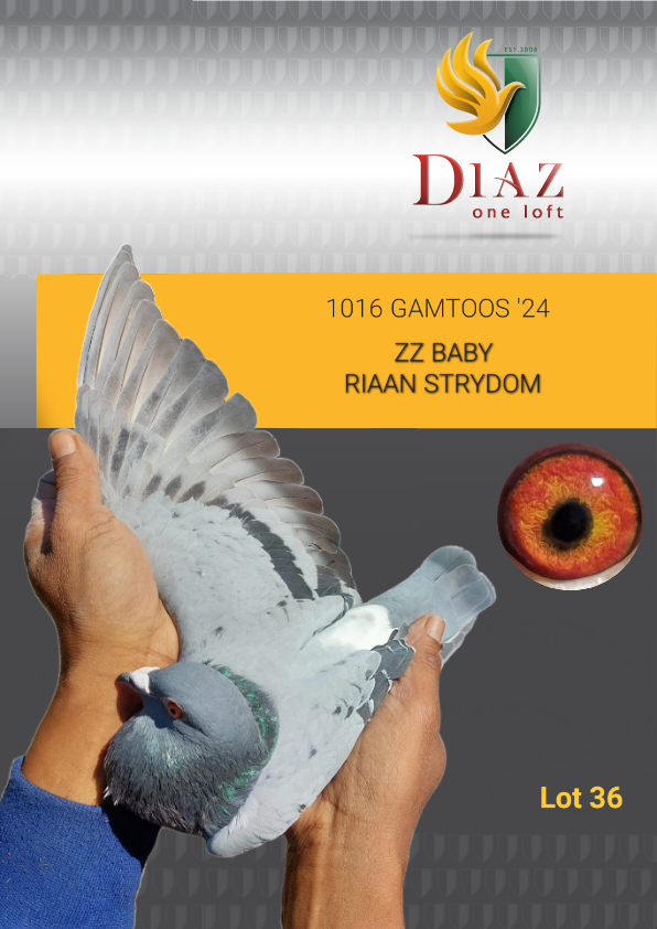 LOT 36: ZA 24 GAMTOOS 1016 (C) - ENTERED BY: RIAAN STRYDOM - 36TH FINAL ...