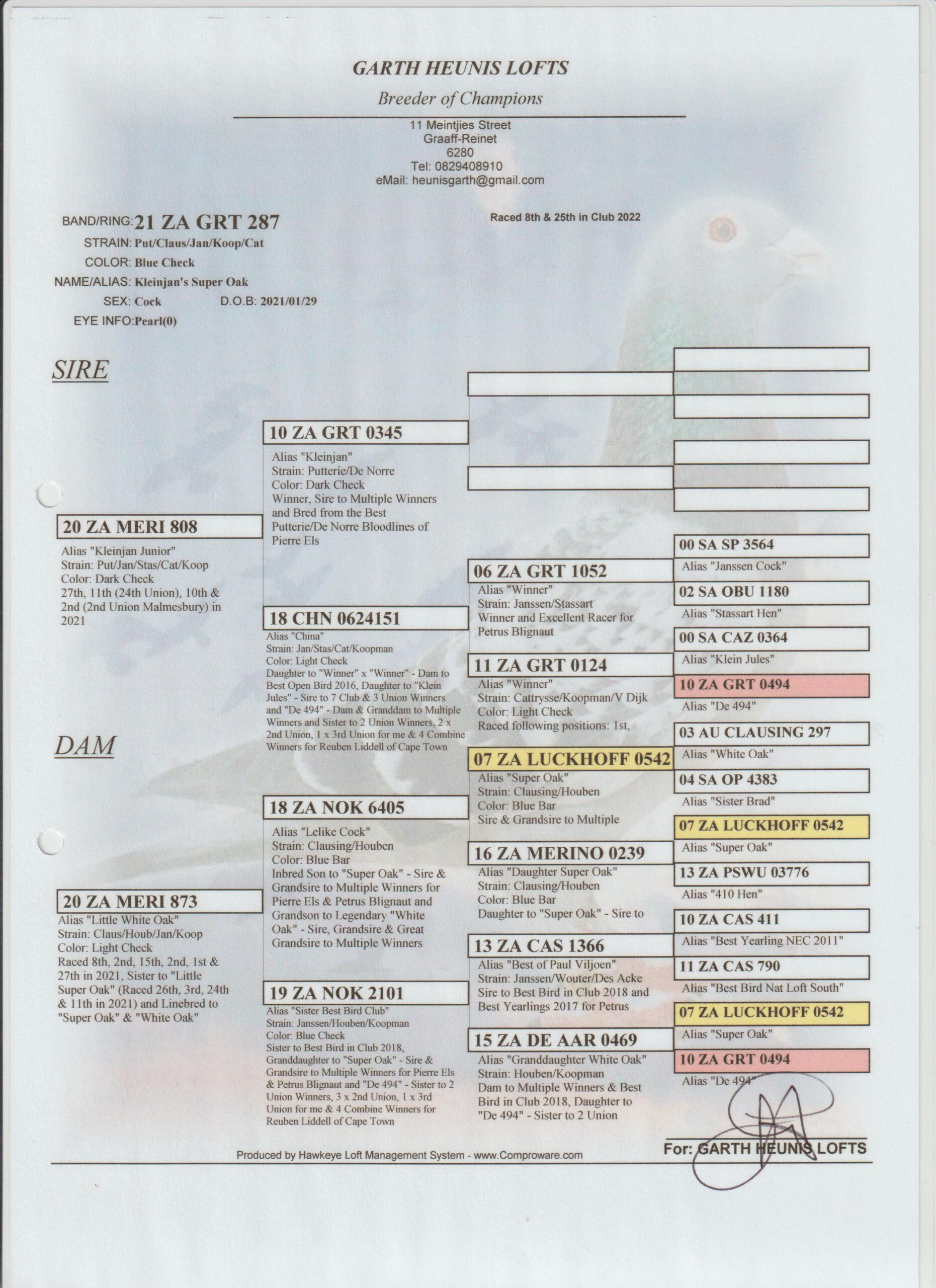 LOT 18: ZA 21 GRT 287 (C) - Putterie/De Norre/ Janssen/Stassart/ Cattrysse/Koopman/Clausing ...