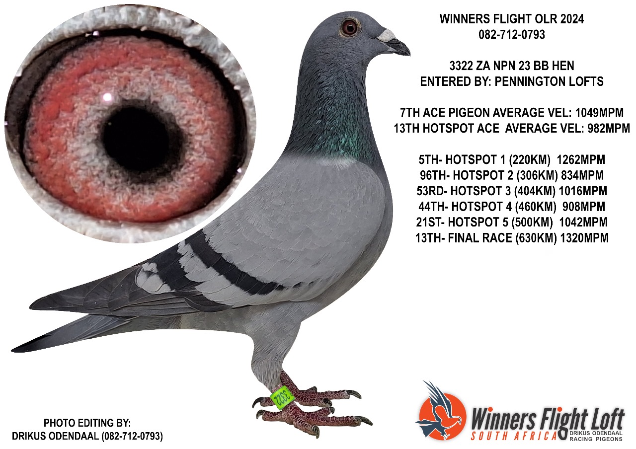 LOT 4: ZA 23 NPN 3322 (H) - ENTERED BY: PENNINGTON LOFTS - 7TH ACE ...