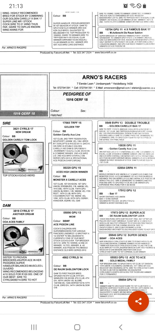LOT 8: ZA 23 CPL 294 (H) - Entered by: Hot Rod Racing - THE SIRE ...