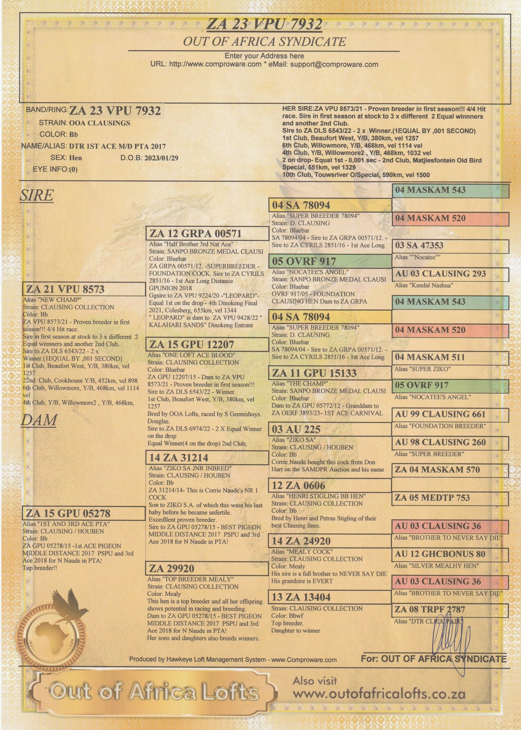 LOT 7: ZA VPU 7932/23 (H) - “ DTR 1ST ACE M/Distance PTA 2017 “ ½ ...