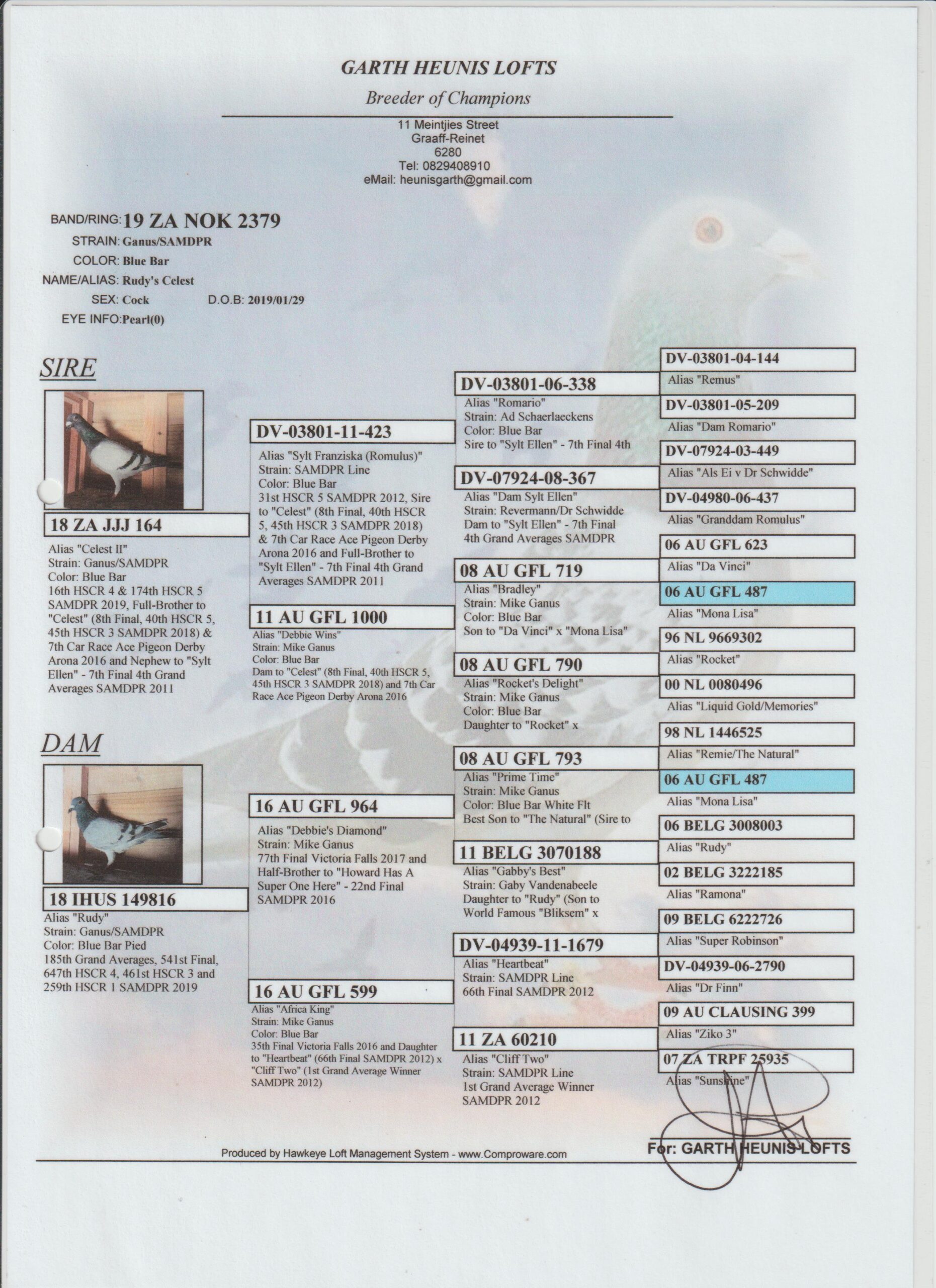 LOT 10: ZA 19 NOK 2379 (C) - Ganus/ Triple J Lofts/ Gaby Vandenabeele ...