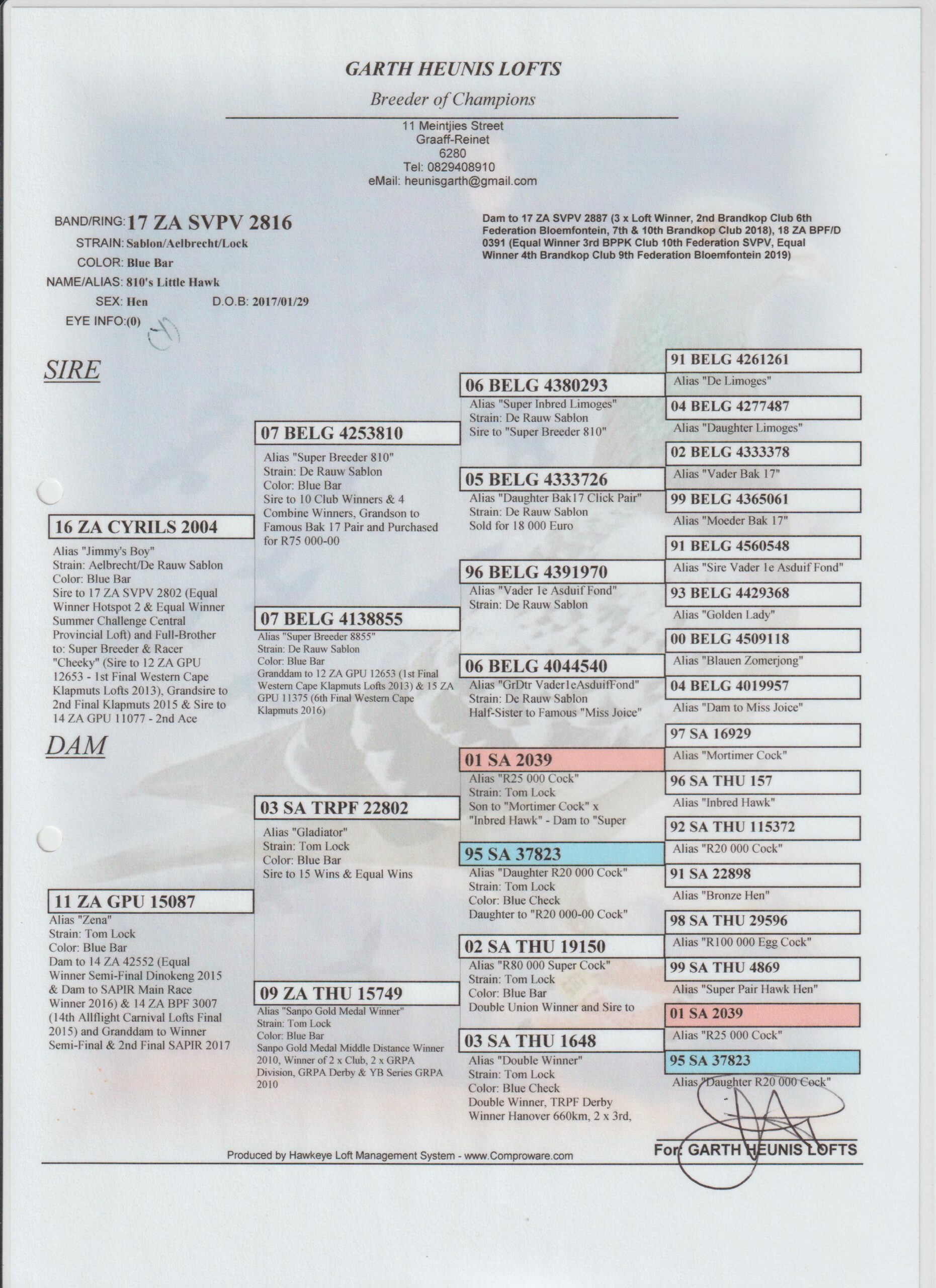 LOT 4: ZA 17 SVPV 2816 (H) - Aelbrecht/ De Rauw Sablon/ Tom Lock - Purchased from James van der ...