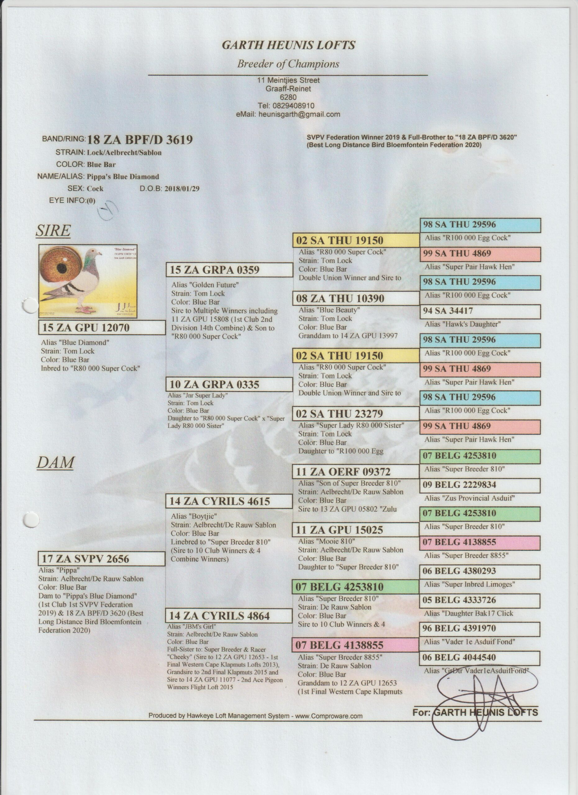 LOT 7: ZA 18 BPF/D 3619 (C) - Tom Lock/ Aelbrecht/ De Rauw Sablon - Purchased from James van der ...