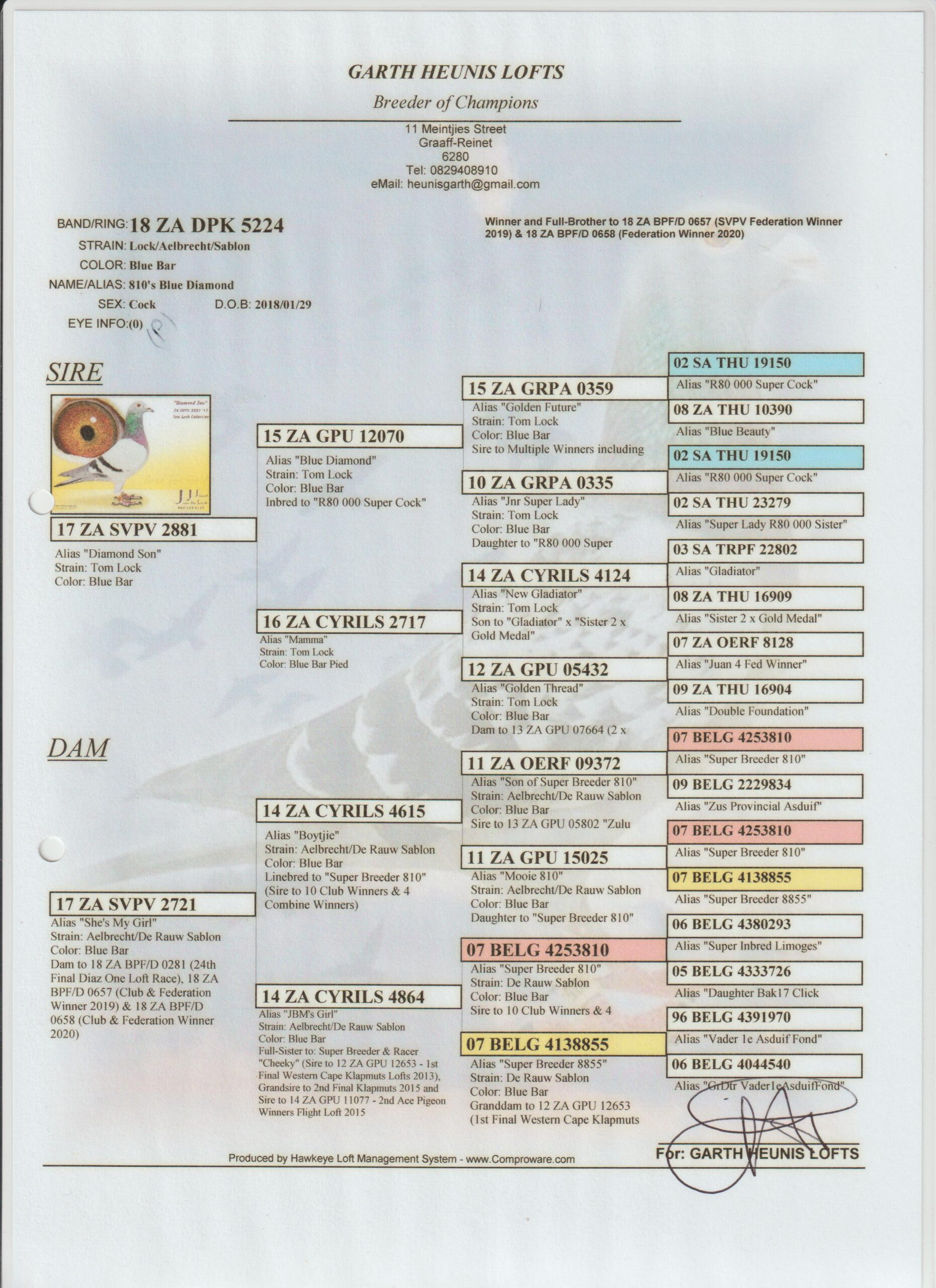 LOT 8: ZA 18 DPK 5224 (C) - Tom Lock/ Aelbrecht/ De Rauw Sablon - Purchased from James van der ...