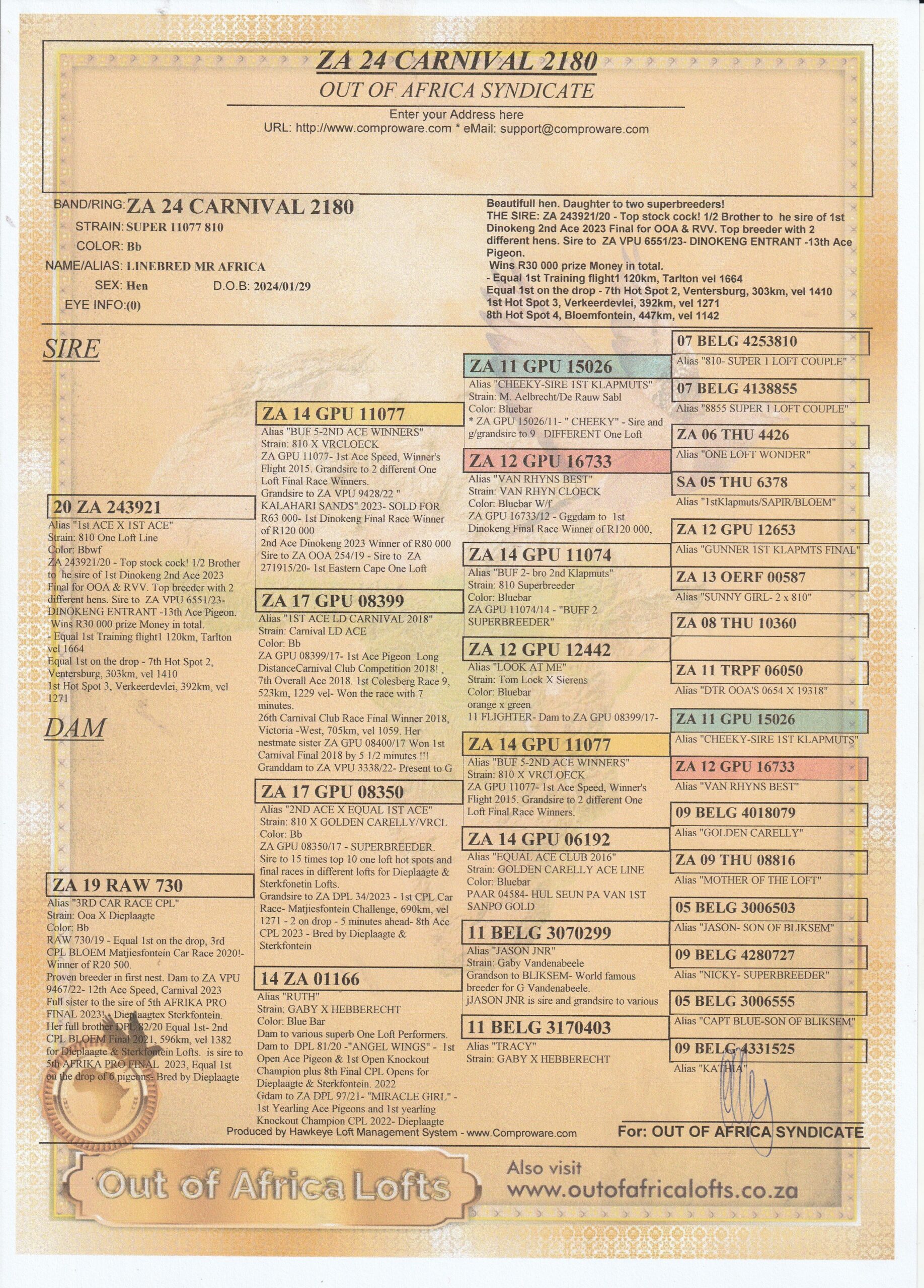 LOT 10: ZA CARNIVAL LOFTS 2180/24 “ LINEBRED TO MR AFRICA “ Beautifull hen. Very richly ...