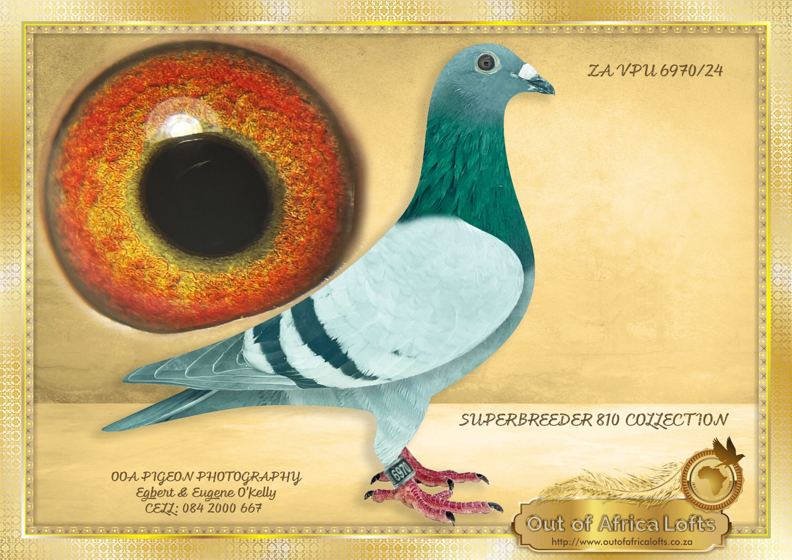 LOT 14: ZA VPU 6970/24 (H) - “ ONE LOFT COMBO “ - Super handler!!! THE BEST OF OUR BEST IN ONE ...