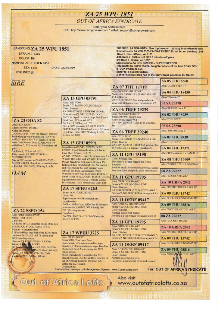 LOT 1: ZA WPU 1851/25 (C) - “ T. LOCK 1851 “ THE SIRE: ZA OOA 82/23 ...