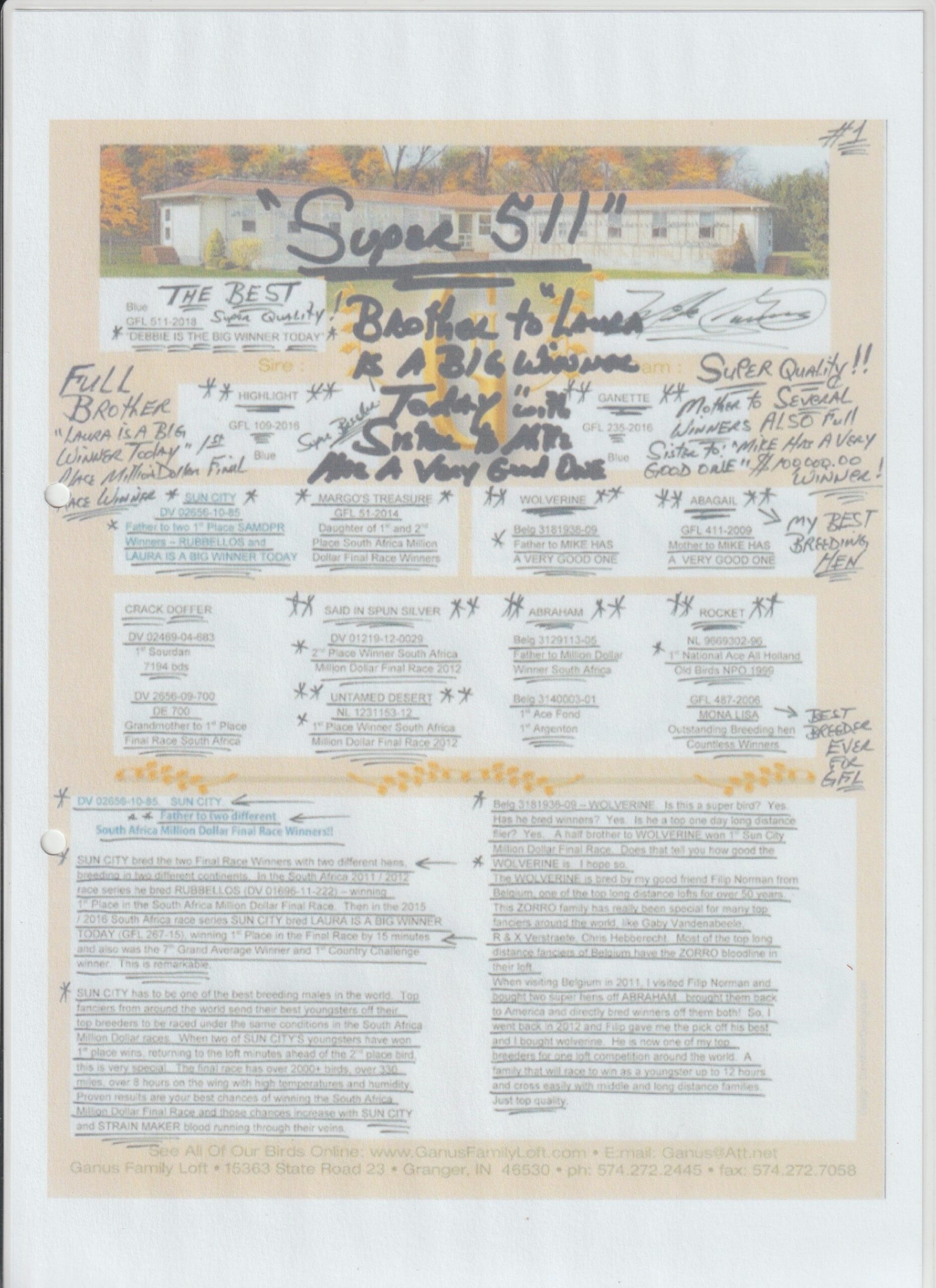 LOT 2: 20 ZA 344986 (H) - Ganus - Bred from the Best Bloodlines of Mike ...