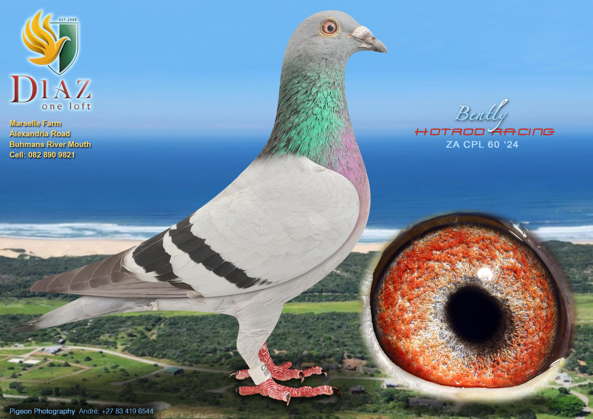 LOT 3: ZA 60 CPL 2024 (H) - ENTERED BY: HOTROD RACING - THE SIRE ...