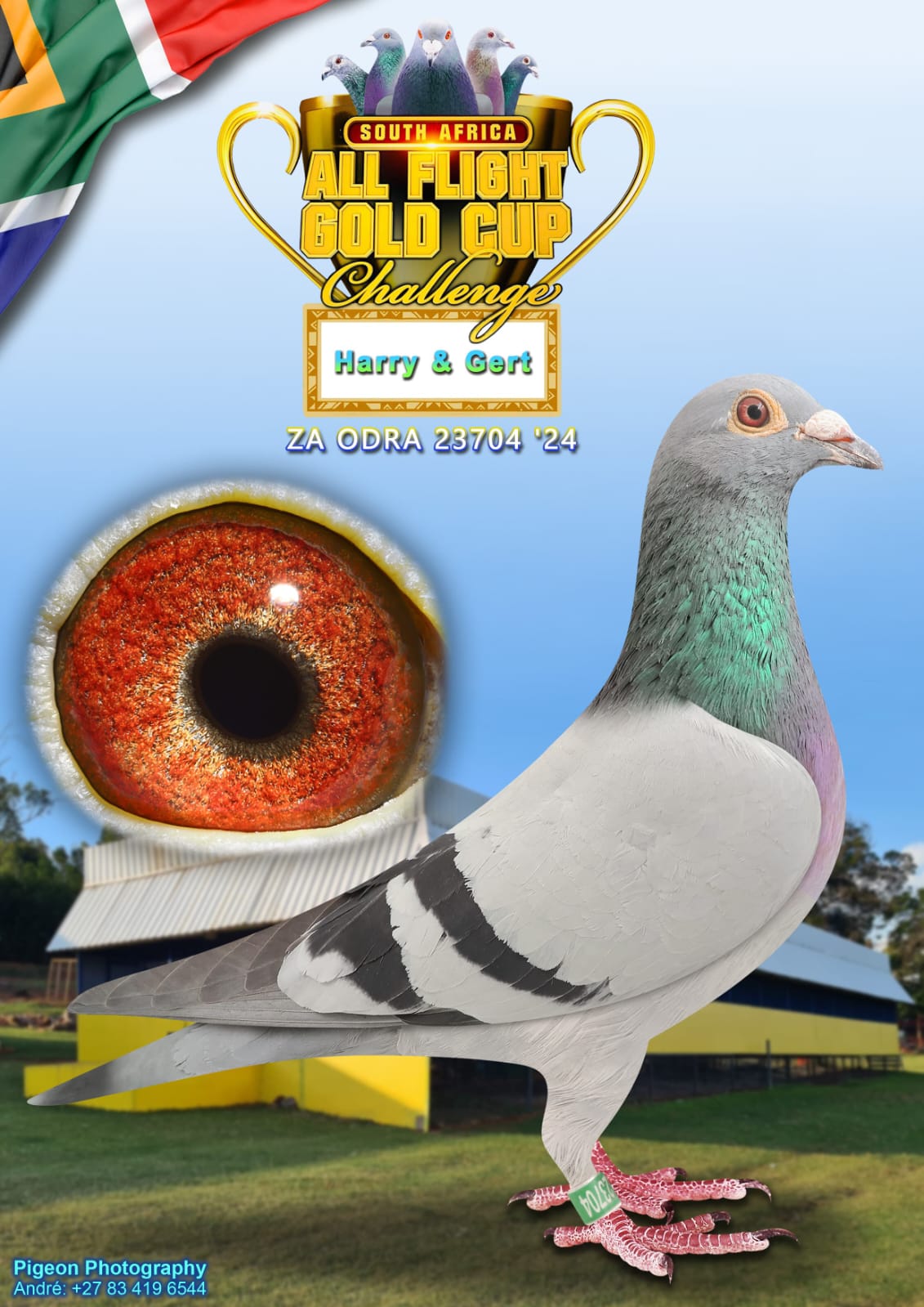 LOT 13: ZA ODRA 24 23704 - ENTERED BY: Harry & Gert - THE SIRE: DIRK VD ...