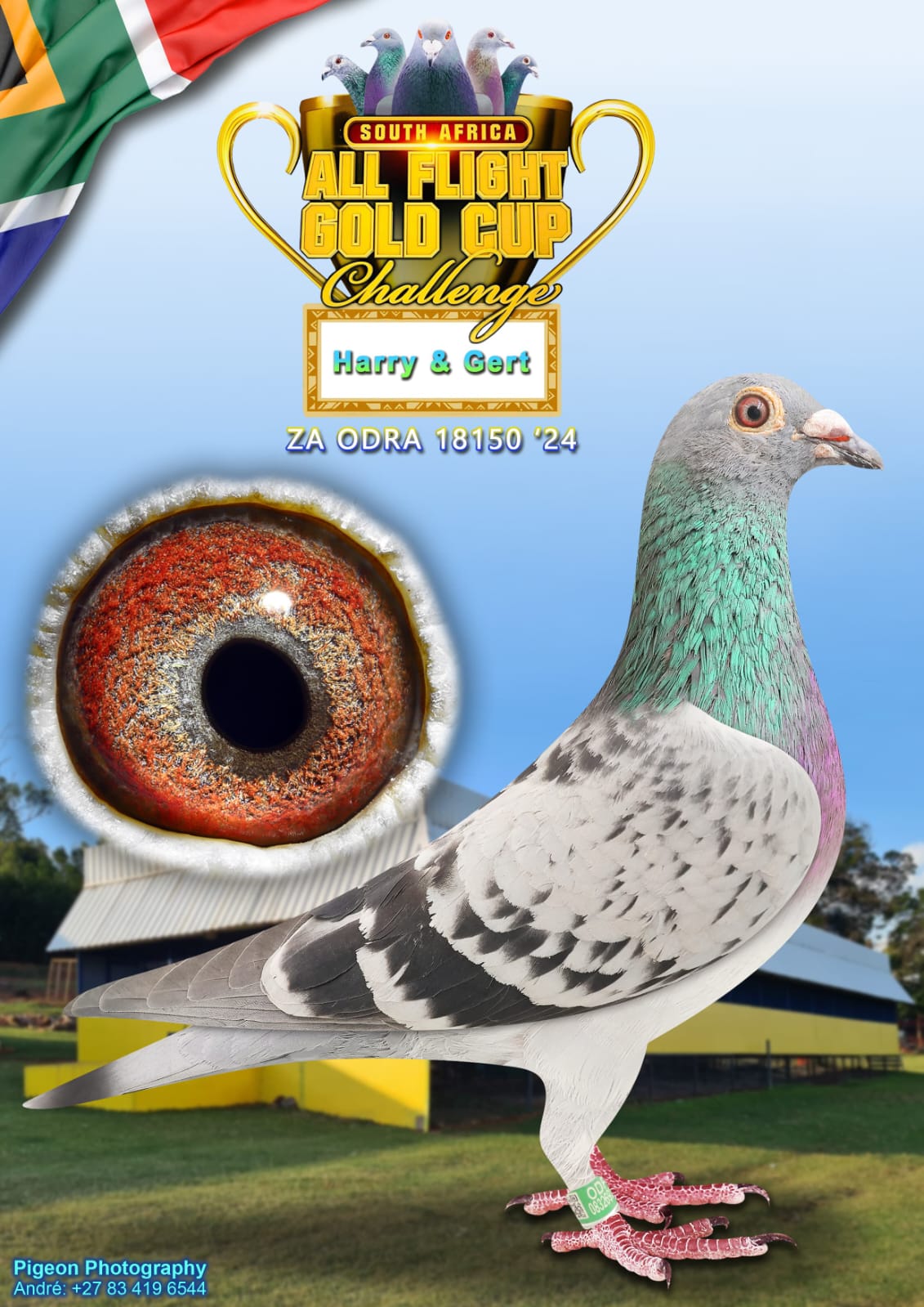 LOT 10: ZA ODRA 24 18150 - ENTERED BY: Harry & Gert - SEE PEDIGREE ...