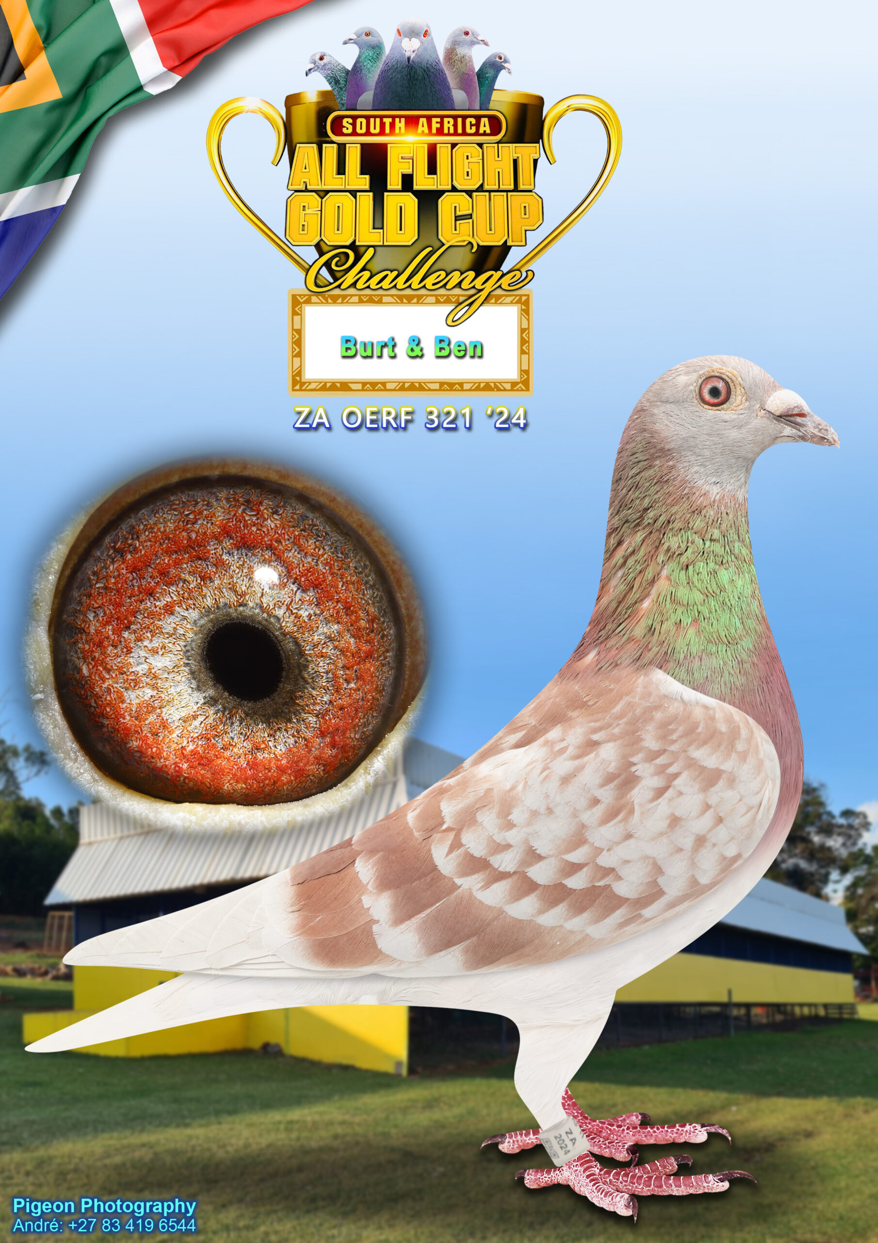 LOT 16: ZA 24 OERF 321 - ENTERED BY: Burt & Ben - Best Pigeon