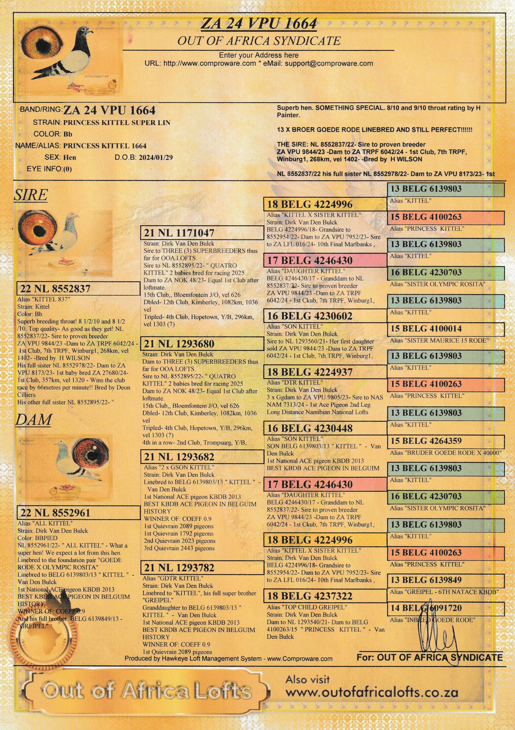 LOT 2: ZA VPU 1664/24 (H) - “ PRINCESS KITTEL “ Our “PRINCESS KITTEL ...